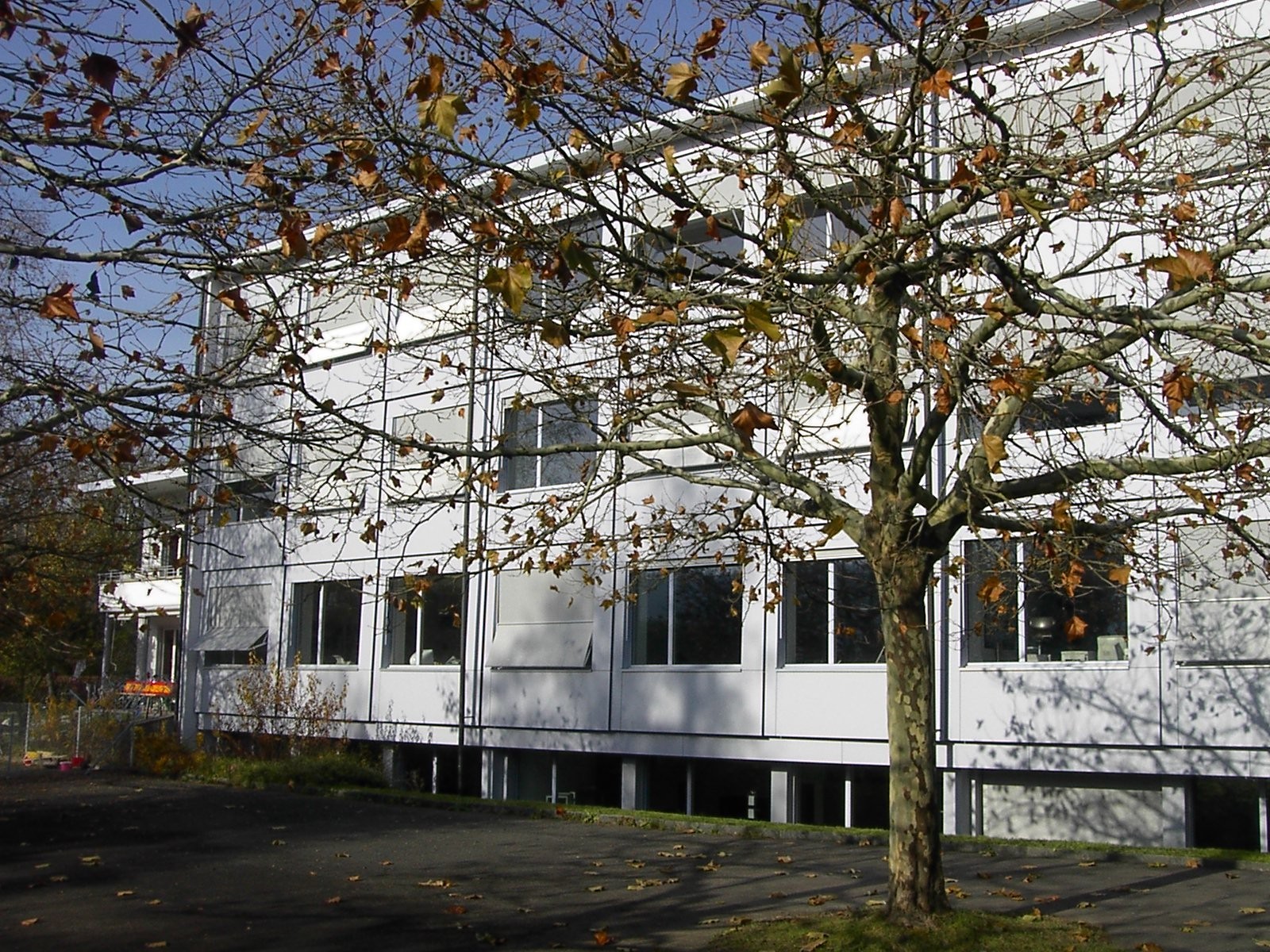 Schulanlage Hinterkappelen Dorf; Sanierung Abwasserleitungen ...